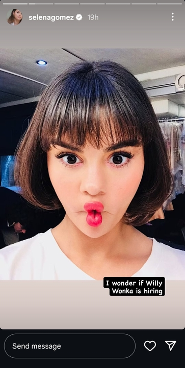 Fans Love Selena Gomez's Craziness as Star Models ‘Willy Wonka' Hairstyle