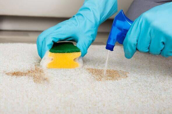 Common household item gets rid of any carpet stains in seconds