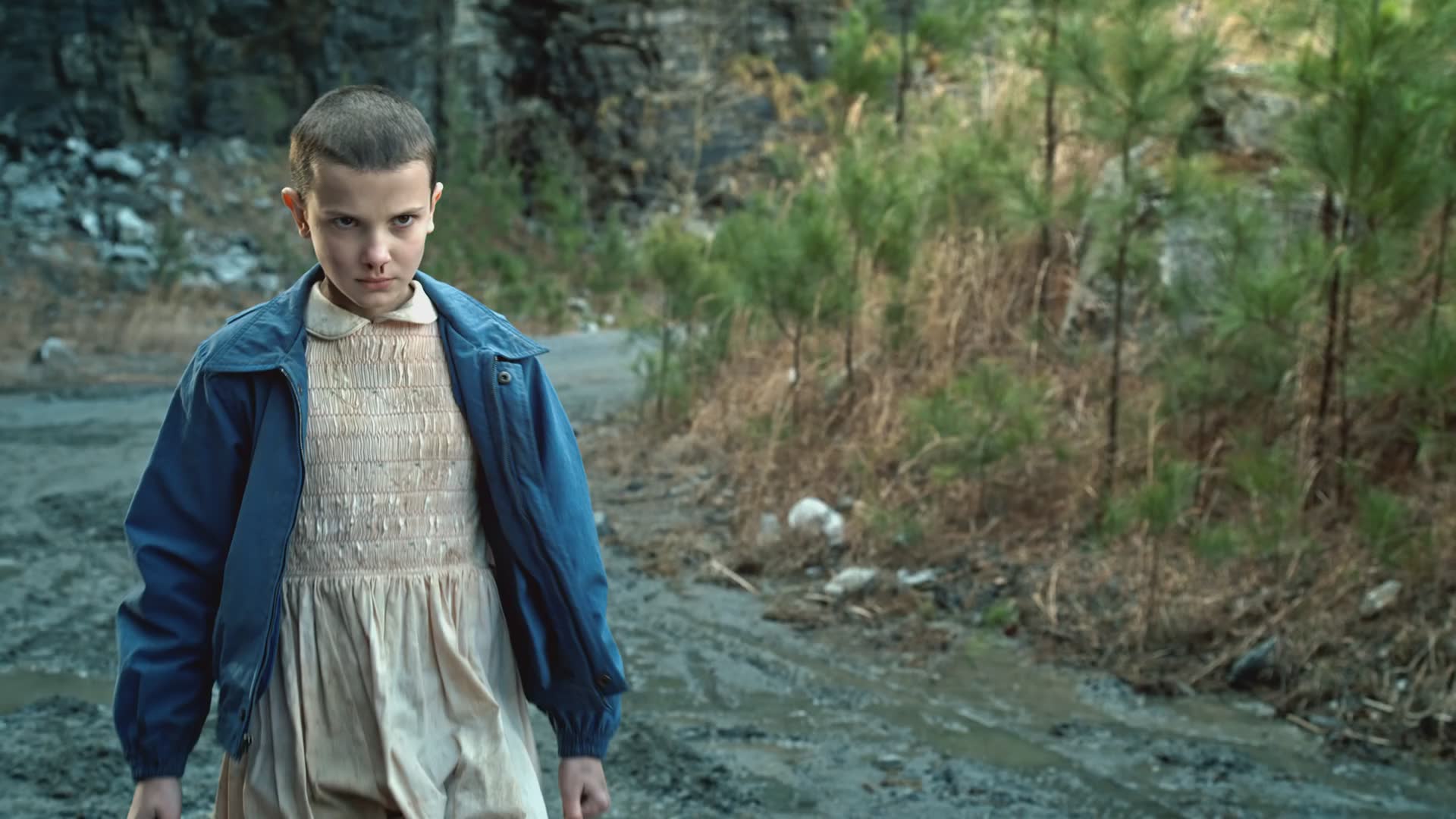 25 best facts about Stranger things