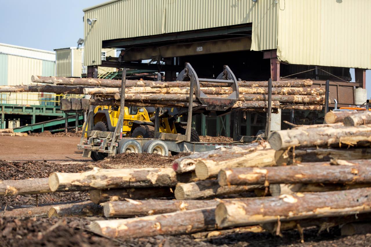 Two of the Biggest U.S. Timberland Owners Strike Deal to Combine