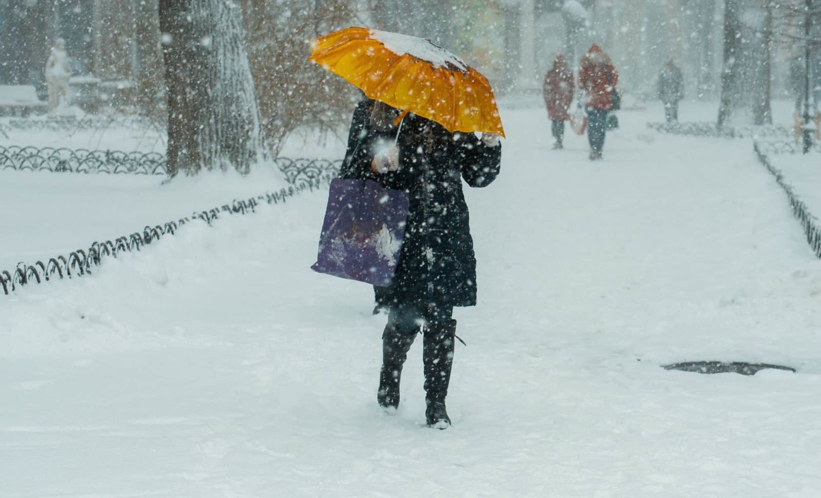 Met Office Three-Month Forecast: What to Expect from Christmas Weather