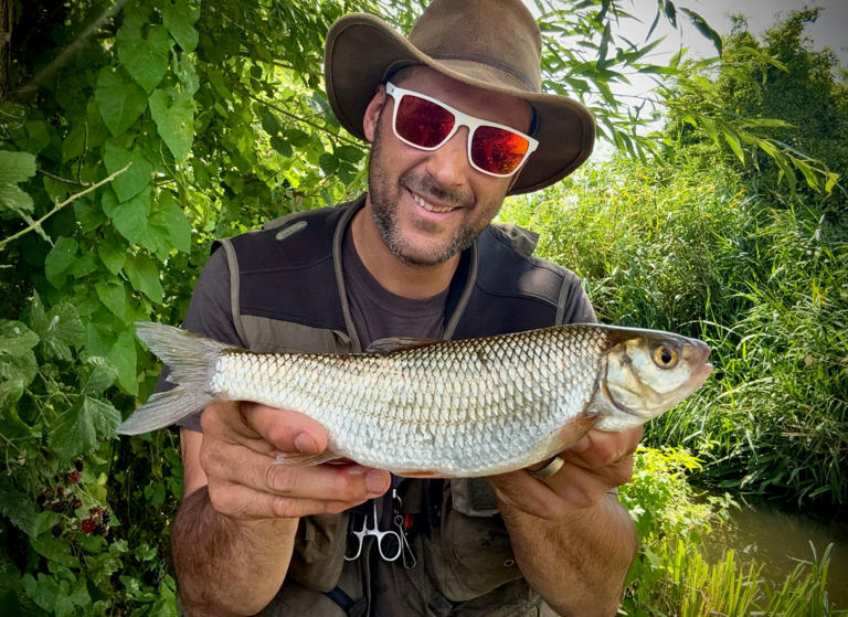 How to catch big dace from tiny streams | Dan Bouskila