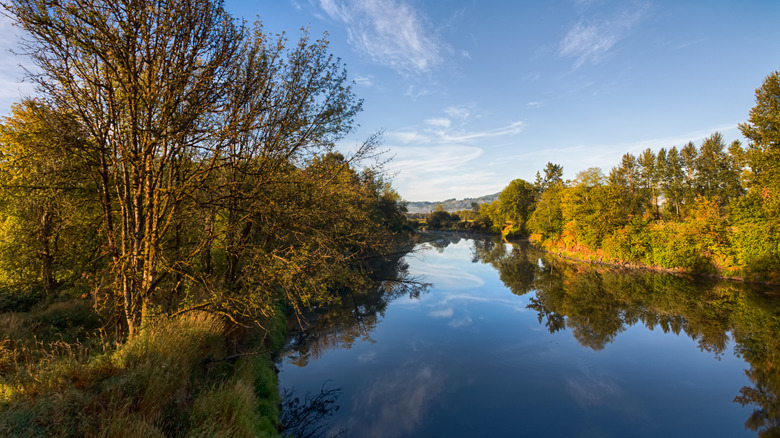 Situated Between Seattle And Portland Is Washington's State Park With ...