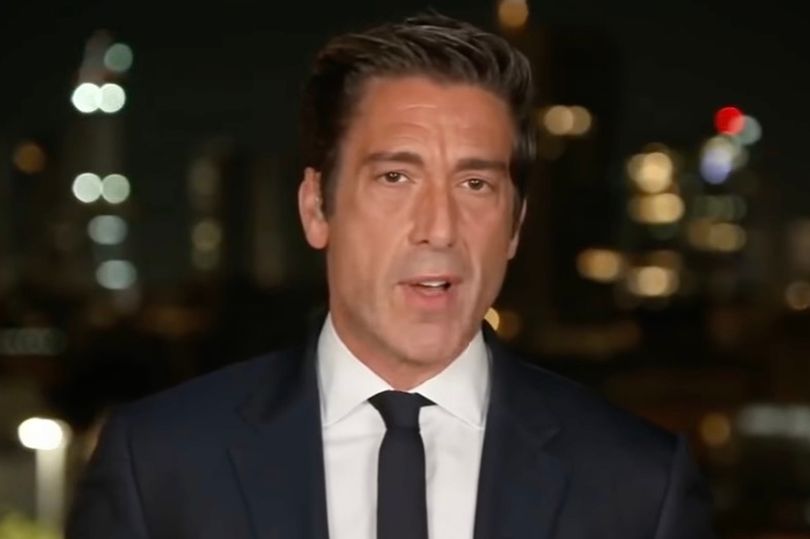 ABC David Muir fans 'can't describe the feeling' as he halts show for ...