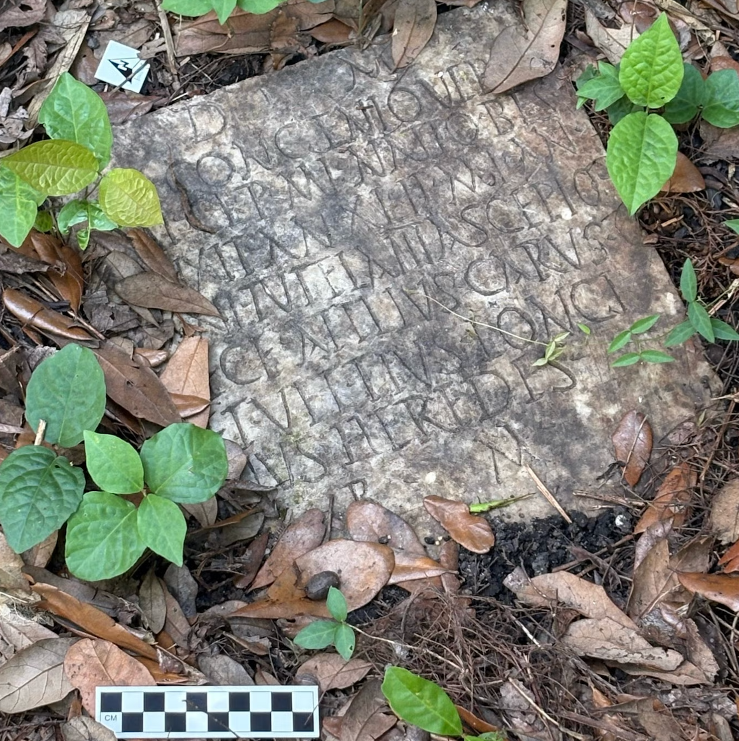 Ancient artefact containing mysterious 'spirits of the dead' message ...