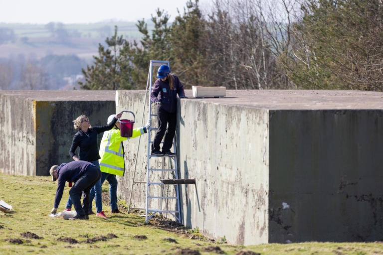 RAF Boulmer veteran wins MOD award for wildlife conservation work