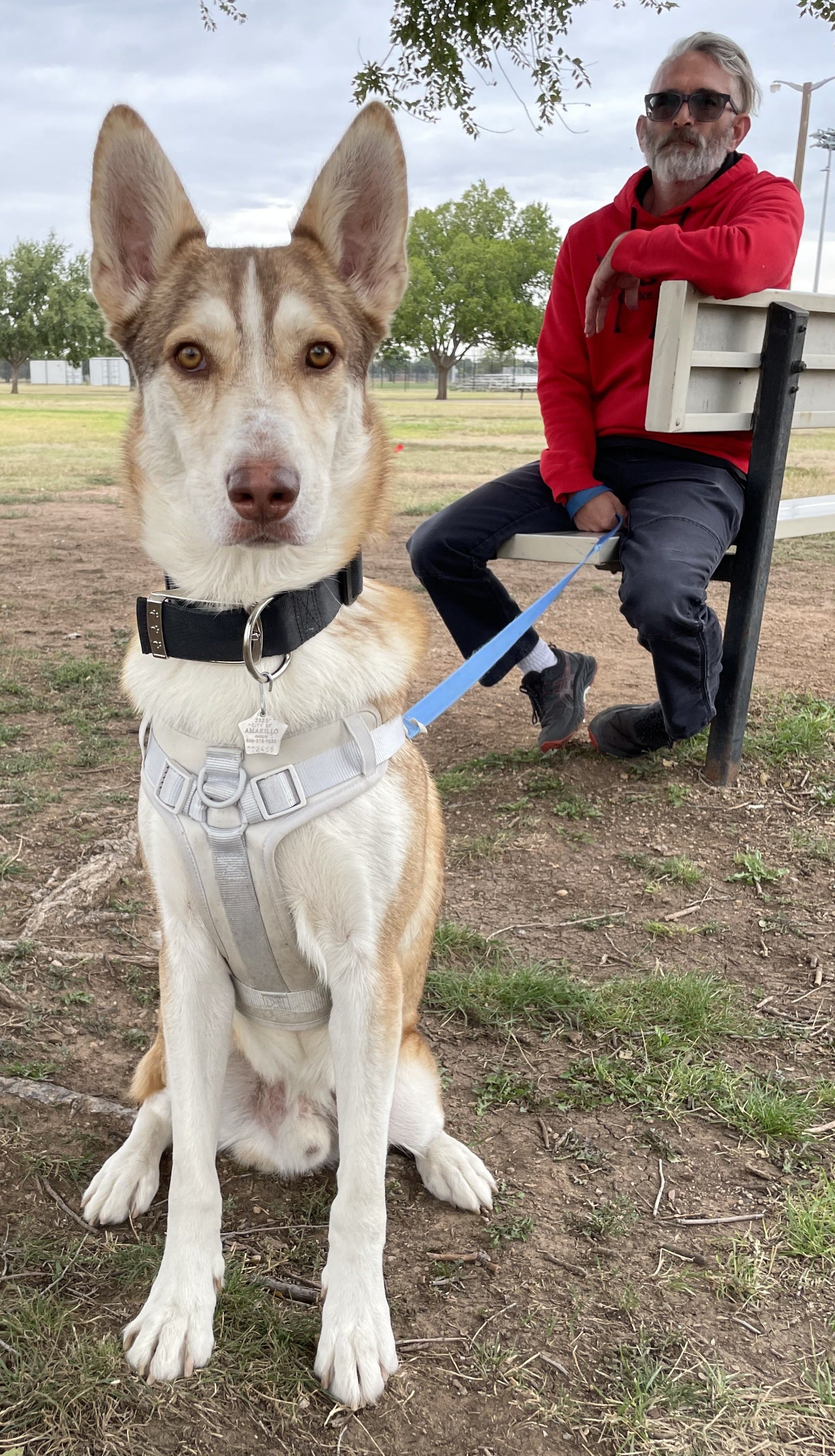 Forever home found for Flynn: Pet's new parents share their story