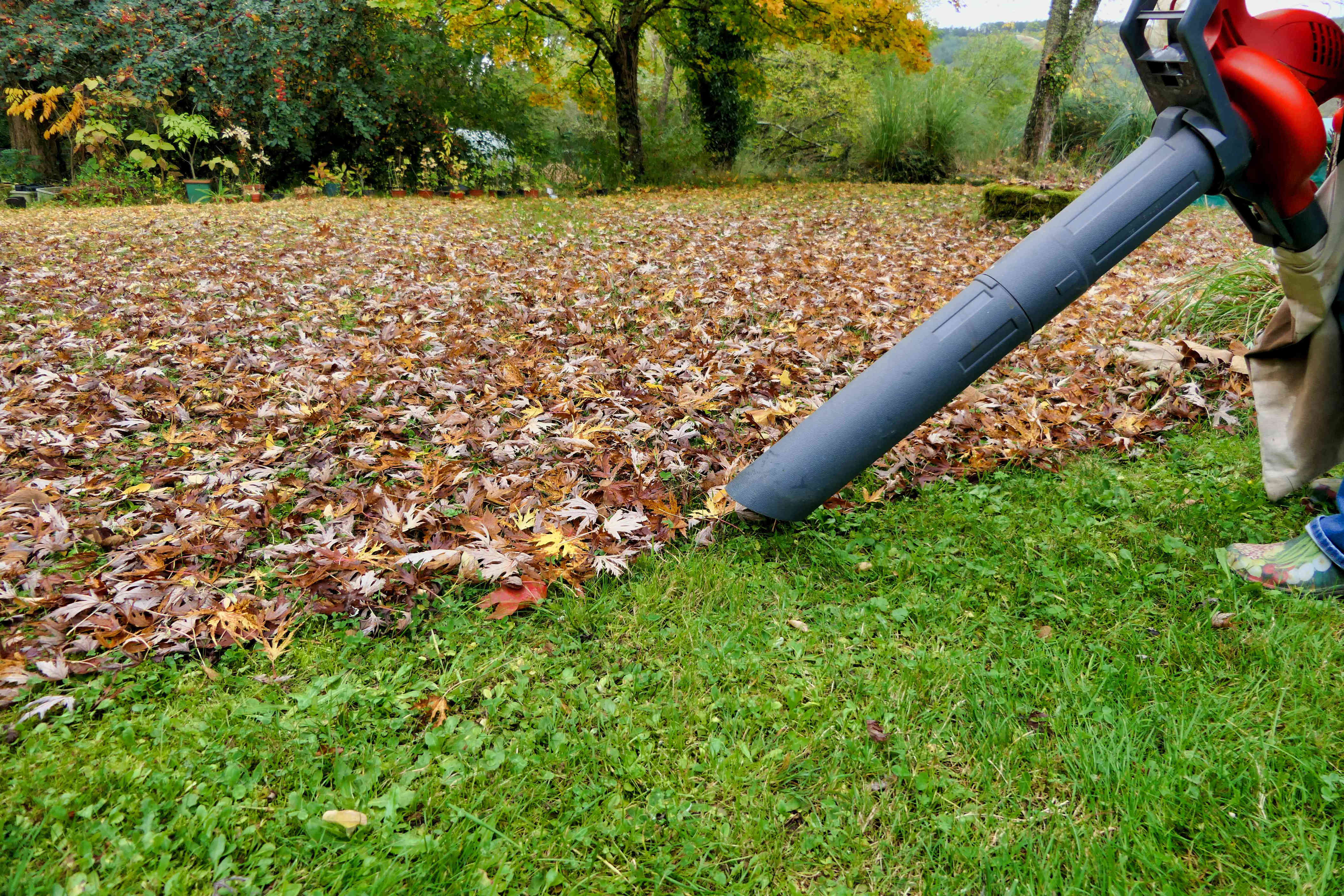 Don't Let Raking Leaves Take Over Your Weekend—15 Tips to Clean Them Up ...