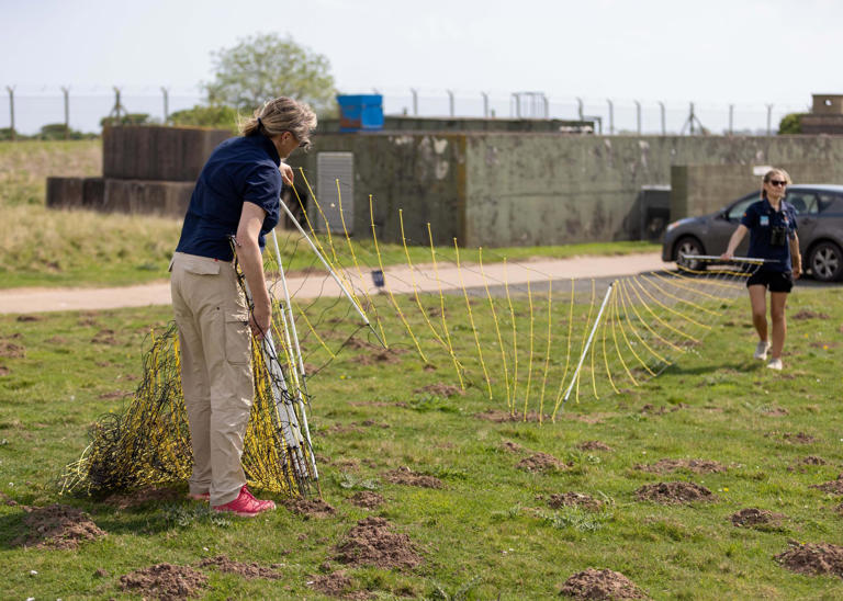RAF Boulmer veteran wins MOD award for wildlife conservation work