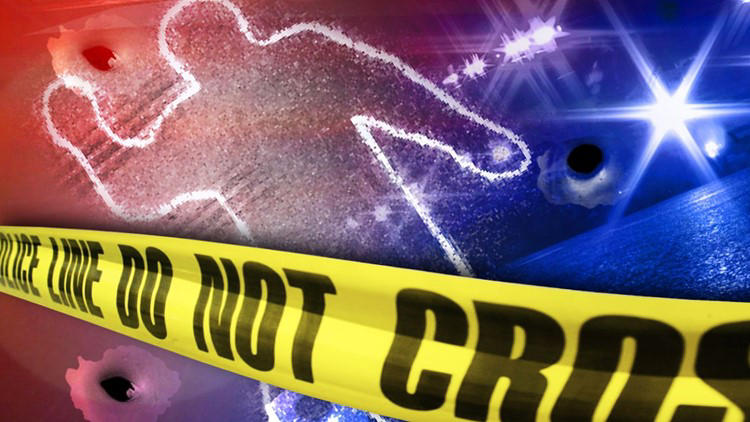 Pedestrian suffers life-threatening injuries in west-side hit-and-run
