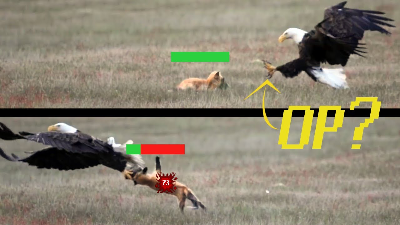 The Science Behind Nature’s Deadliest Claws