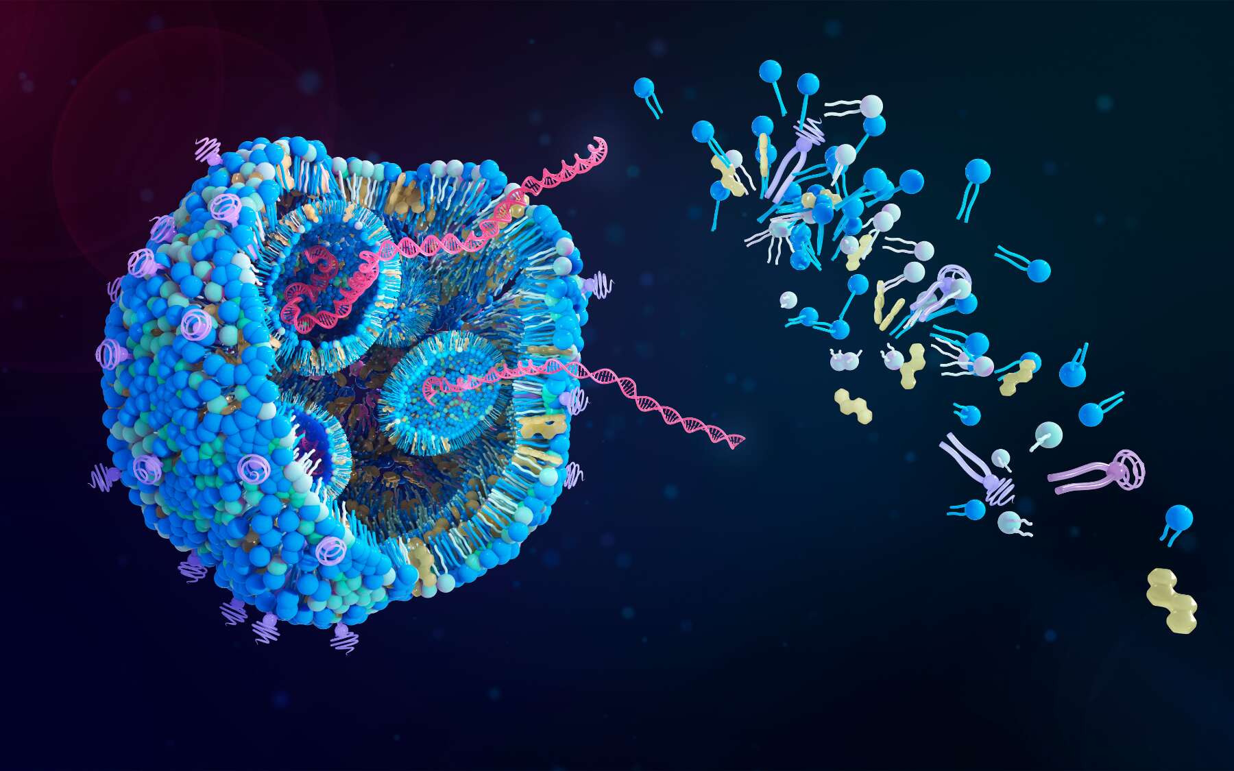 Un vaccin atteint 88 % d’efficacité contre le cancer : un immense ...