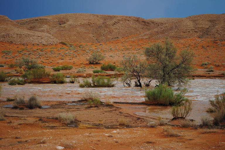 Why The Sahara Desert Is Expanding Every Year - Explained By Climate ...