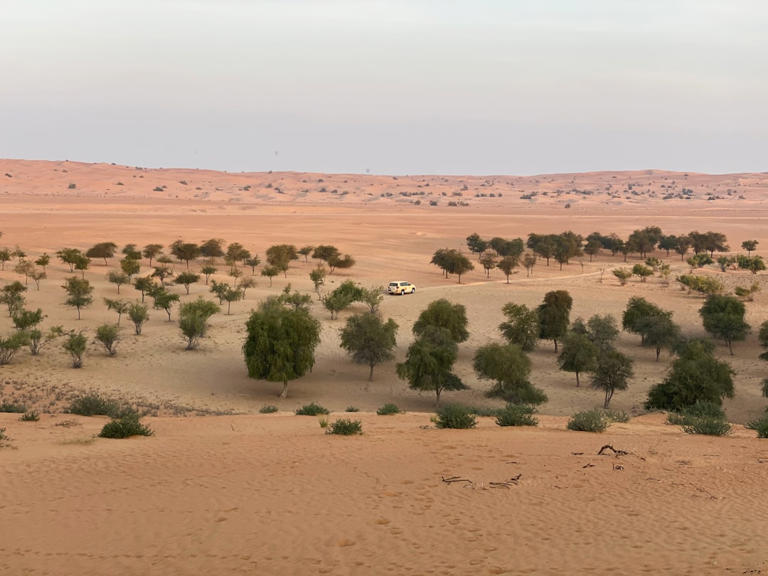 Why The Sahara Desert Is Expanding Every Year - Explained By Climate ...