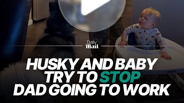 Husky and baby try to stop Dad going to work