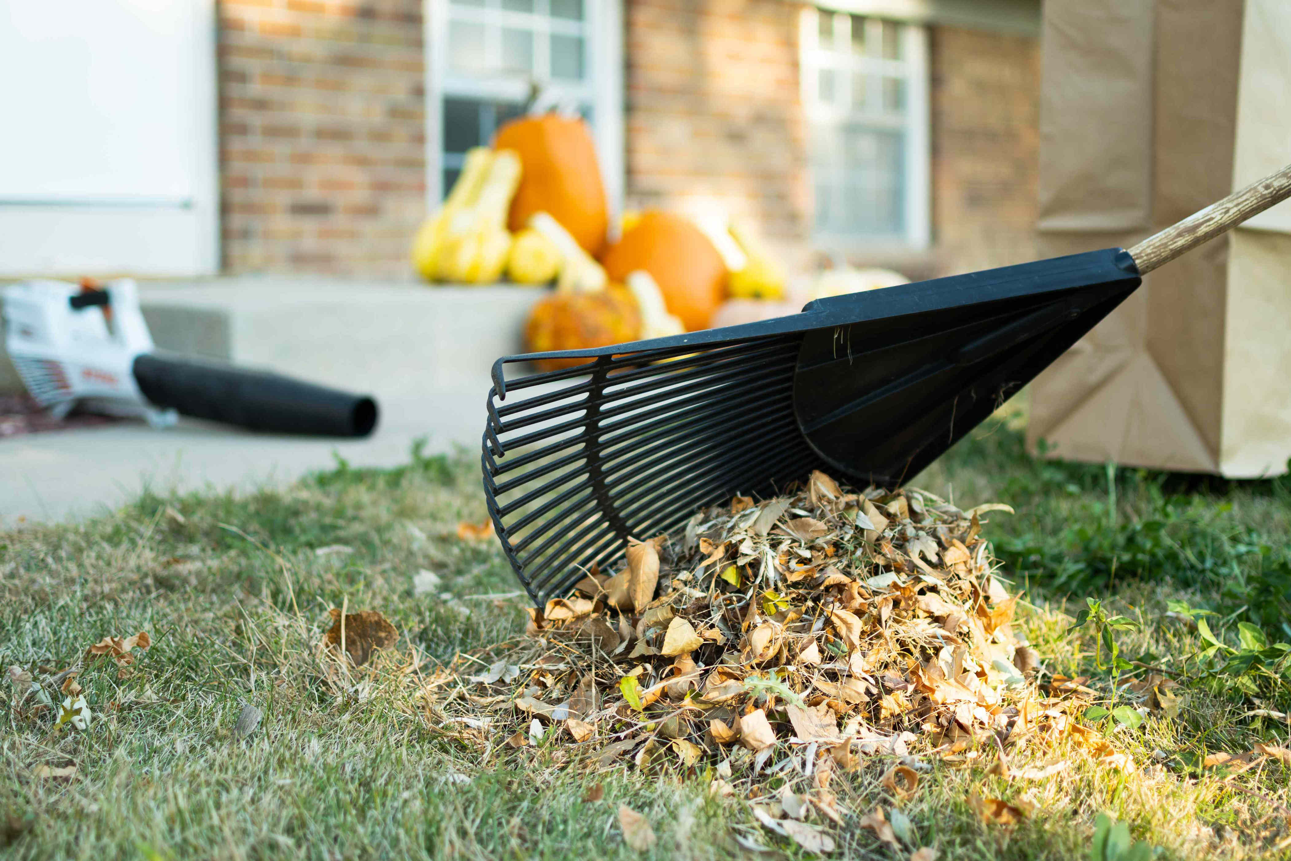 Don't Let Raking Leaves Take Over Your Weekend—15 Tips to Clean Them Up ...