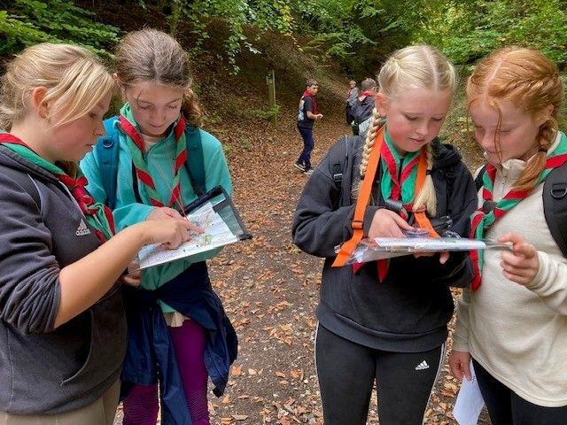 Scouts take to the Woods