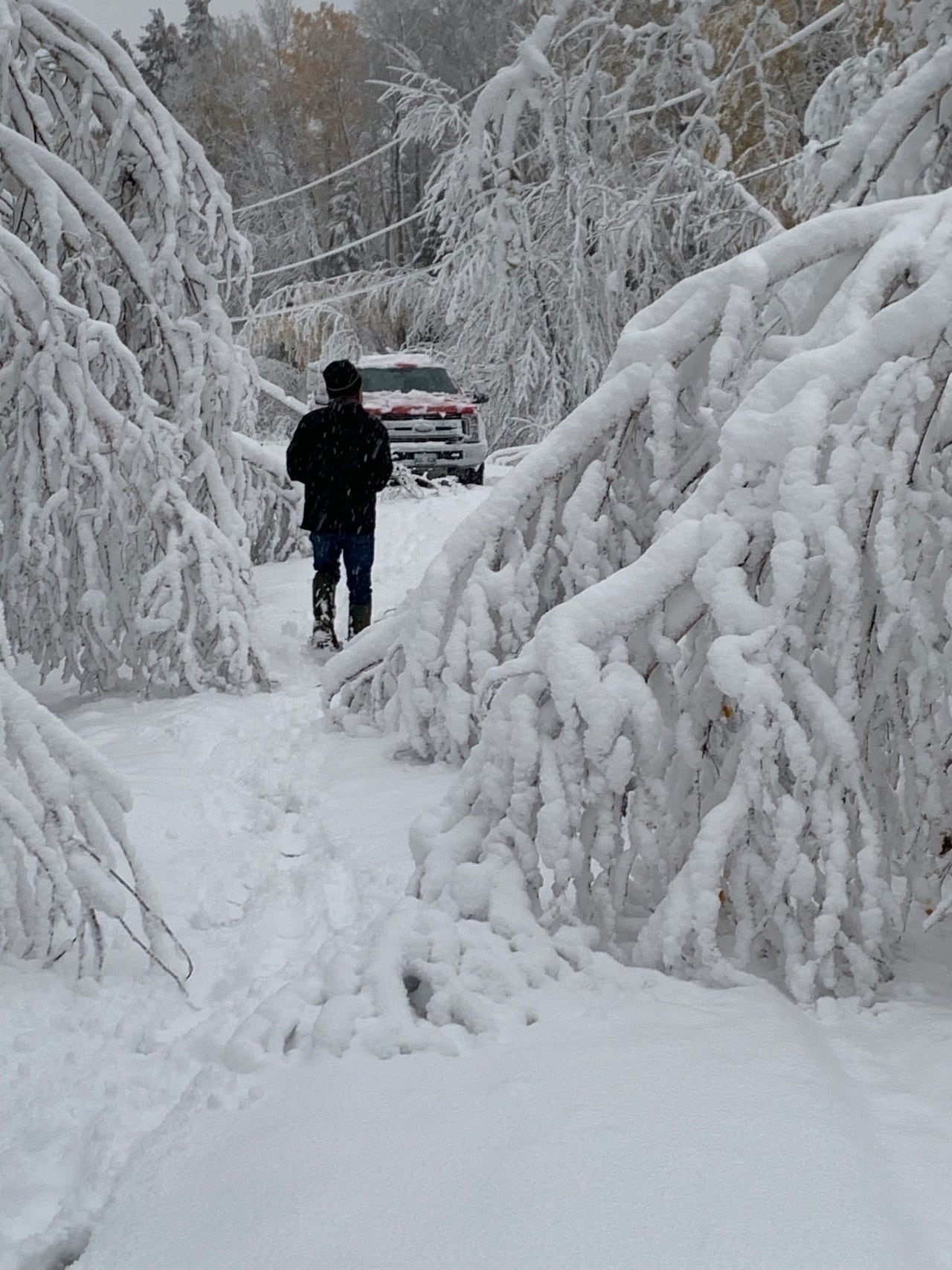 Thousands still without power after Monday's snowstorm in northern Manitoba