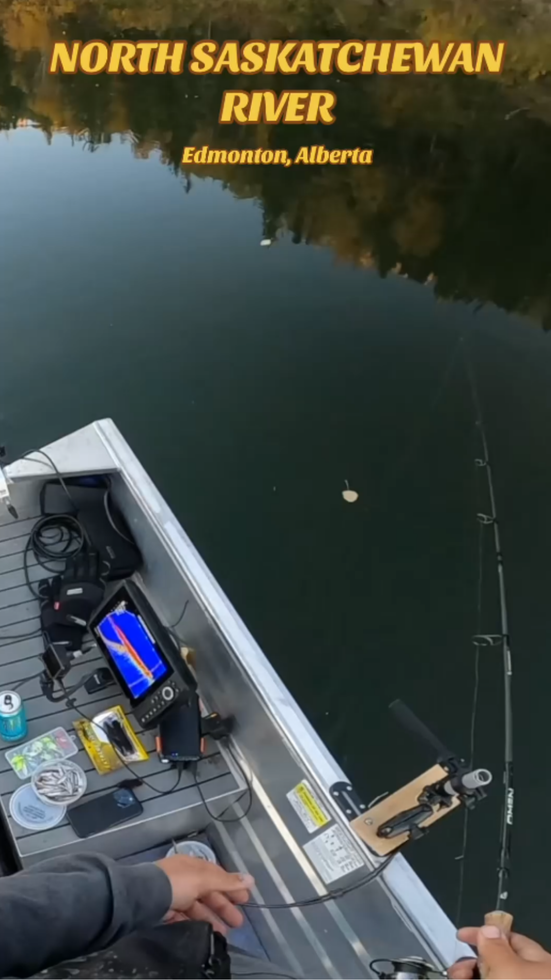 Monster Walleye in the North Saskatchewan River