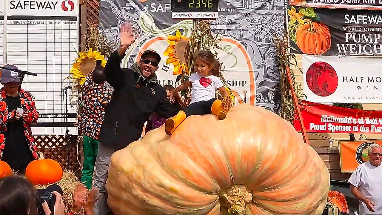 Un ingeniero gana concurso de calabazas gigantes en California con una ...