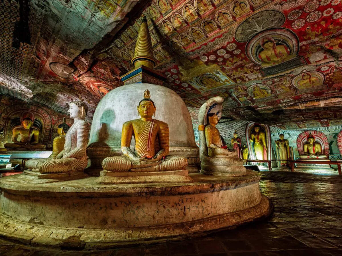 6 best international destinations for vegetarian travellers
