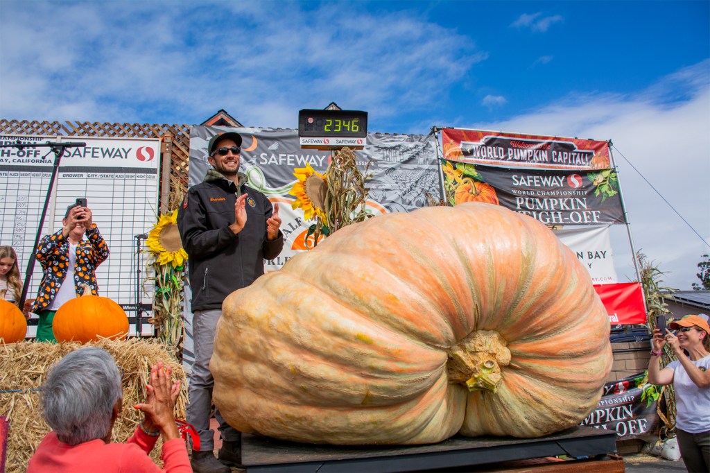 California engineer wins 2025 Safeway Pumpkin Weigh-Off with 2,346 lb gourd