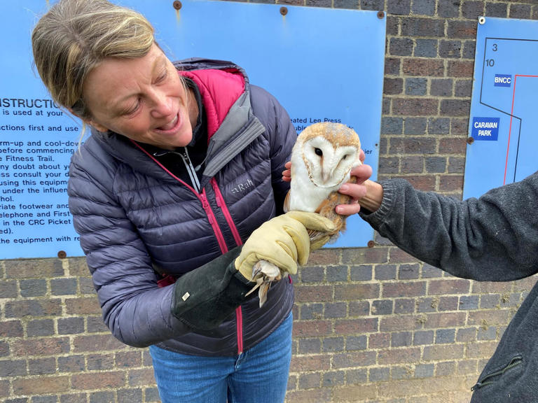RAF Boulmer veteran wins MOD award for wildlife conservation work