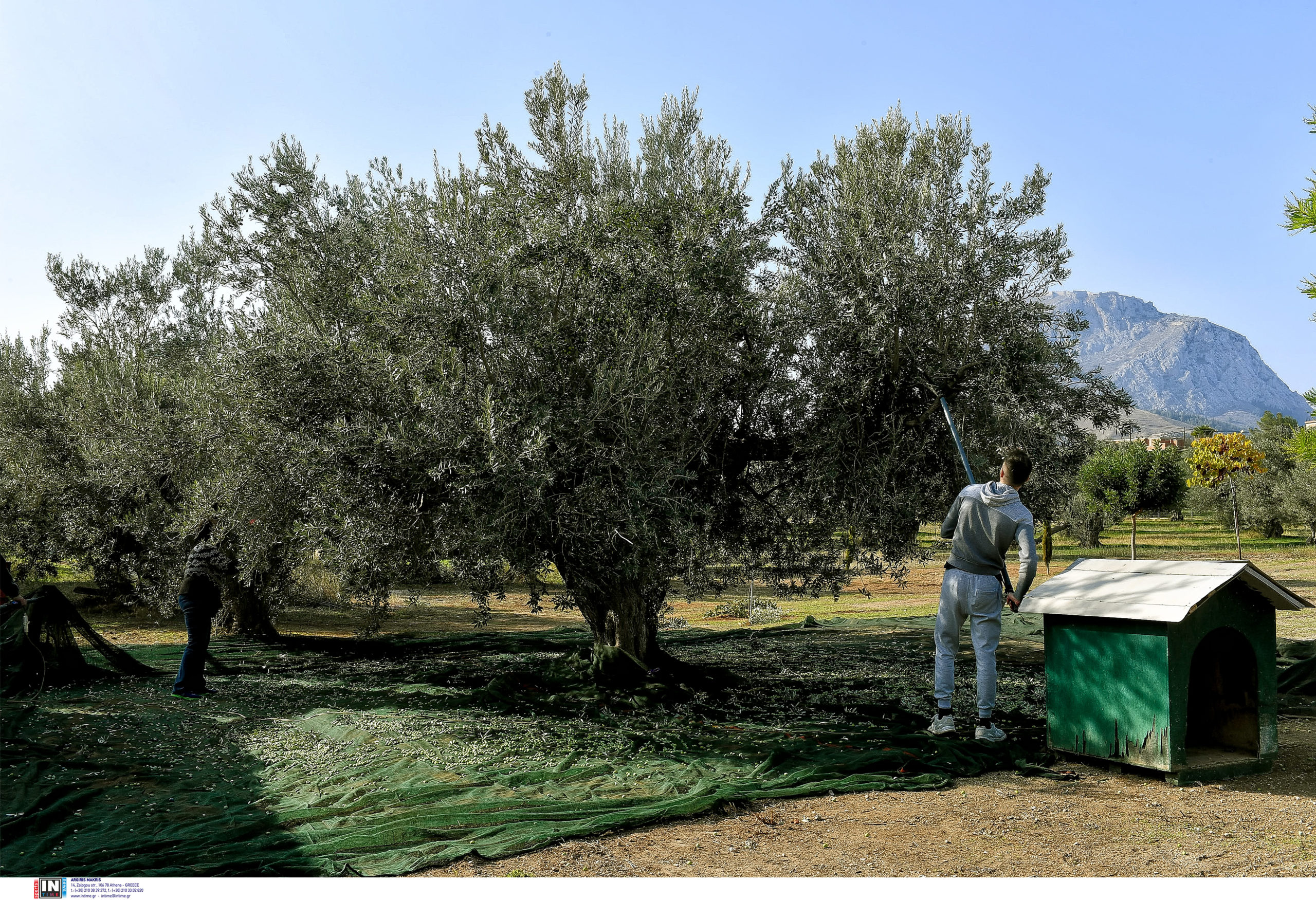 Σάλος στο διαδίκτυο με αγγελία στα Χανιά: Εργάτης ζητεί 90 ευρώ ...