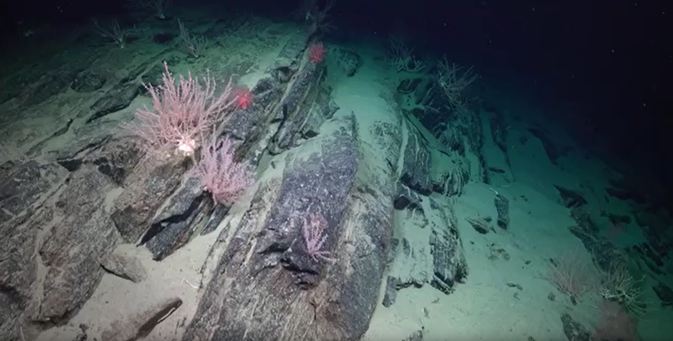 Robot explores one of Earth’s darkest places – and makes stunning finds