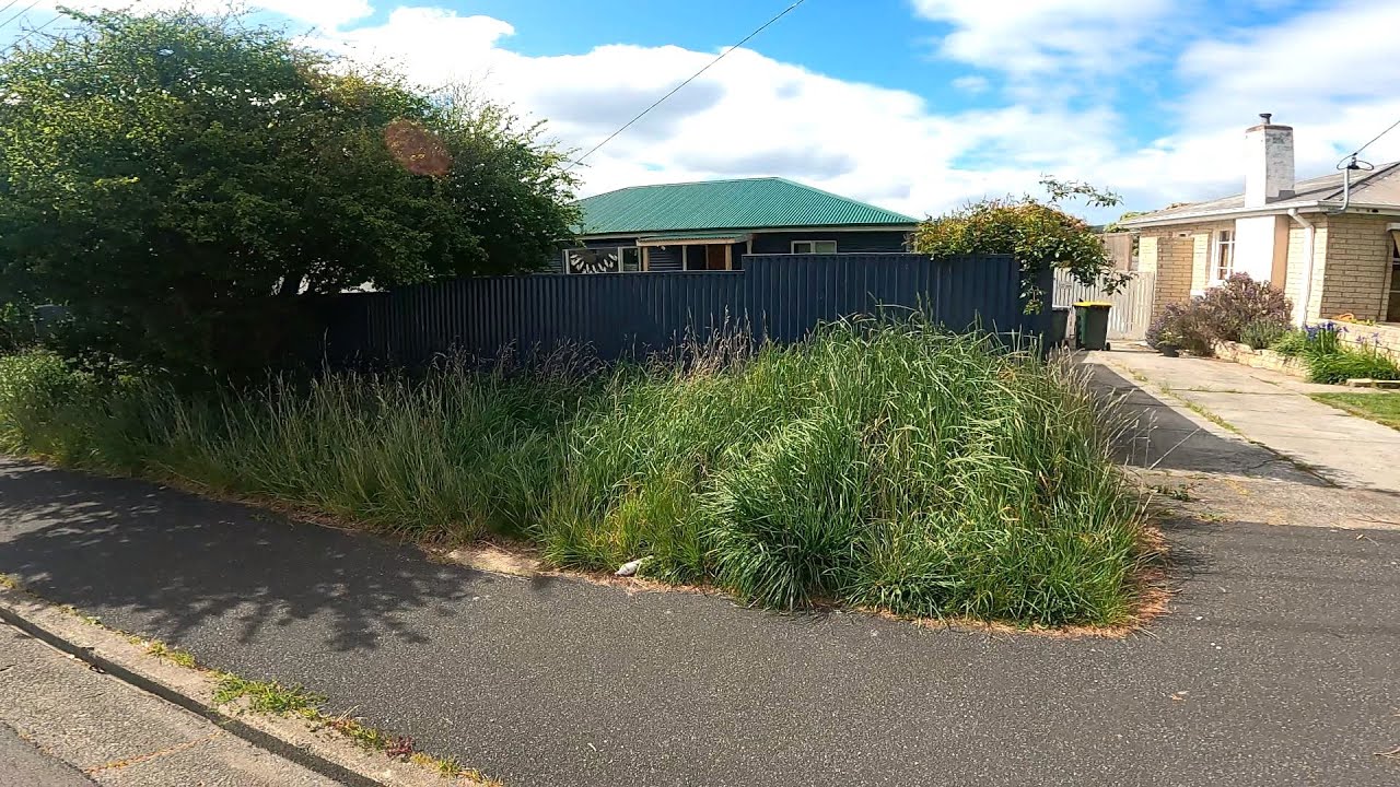 Can I fix your garden? Here's what happened