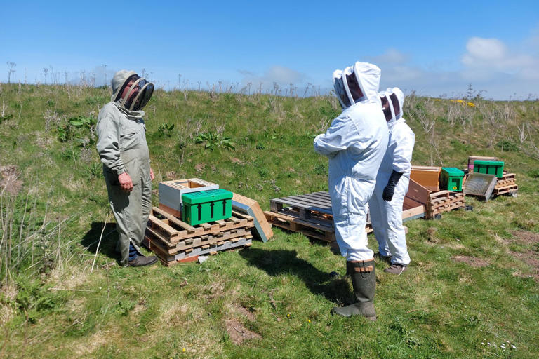 RAF Boulmer veteran wins MOD award for wildlife conservation work