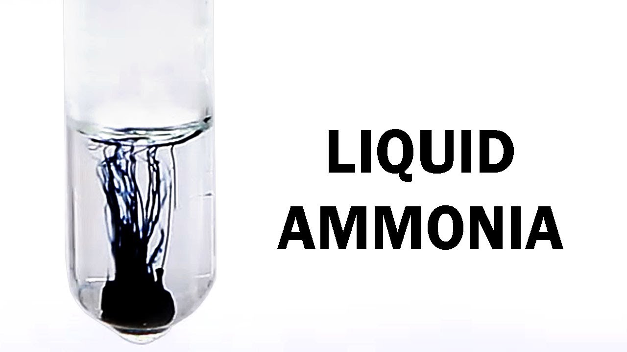From Blue to Bronze: The Physics of Metal-Ammonia Systems (No Lab Steps)