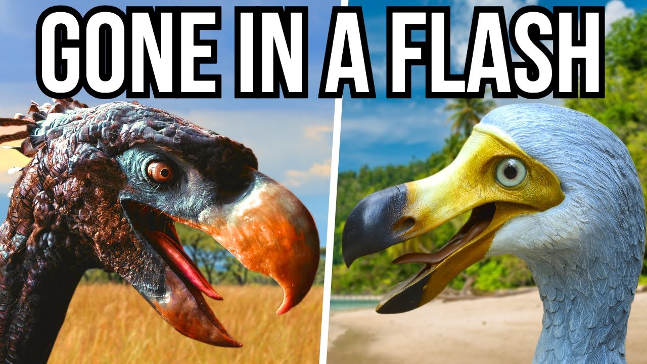 7 Iconic Extinct Birds That Once Ruled Every Continent
