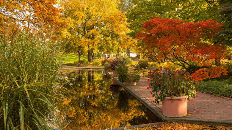 Create A Beautiful Fall Landscape That's Perfect For Shaded Areas Of ...