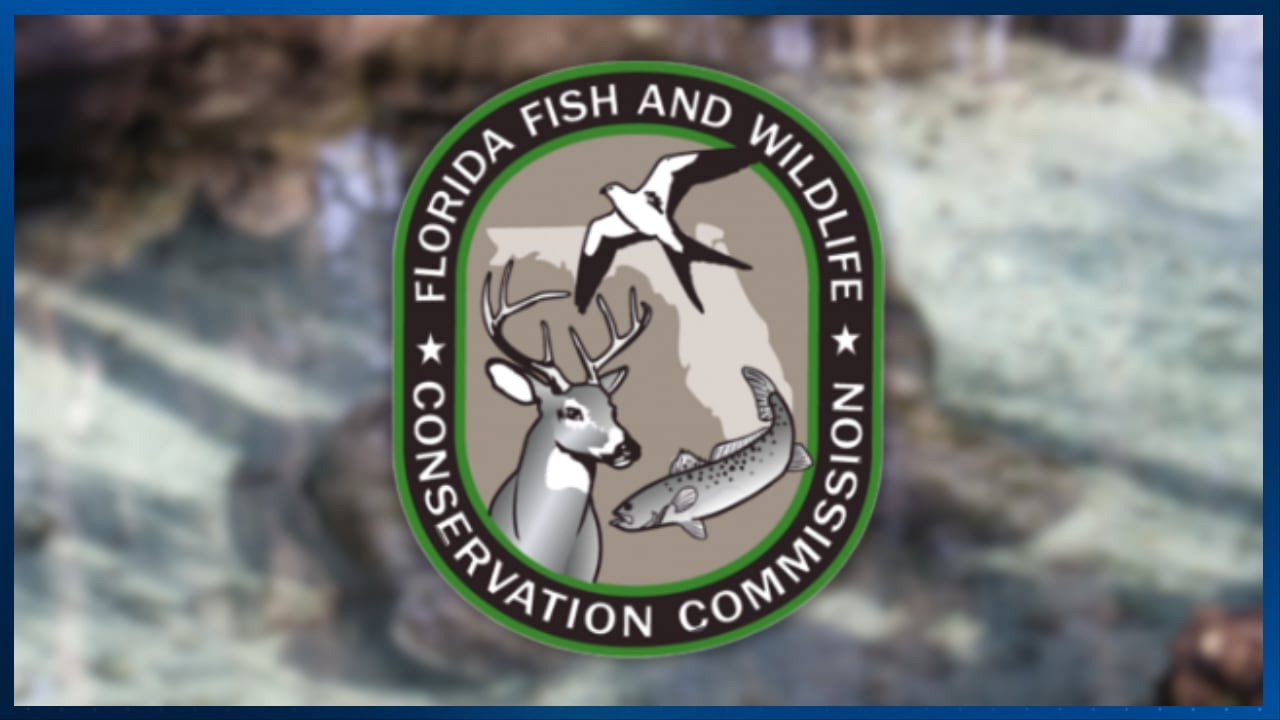 FWC wildlife safety tips as Florida faces cooler temperatures from ...