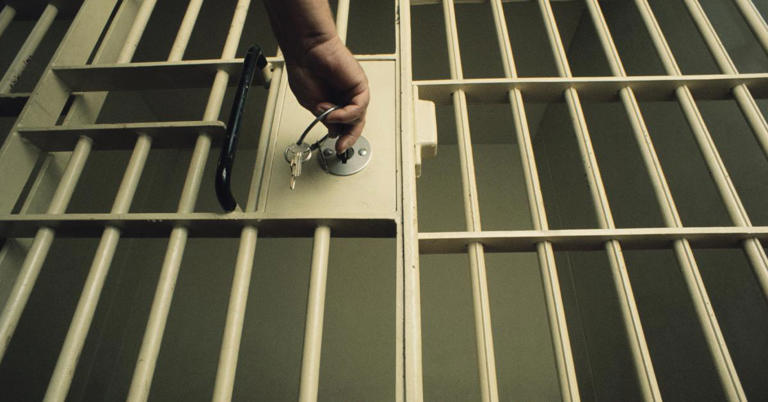 'Worst of the worst': Latest ICE busts nab child predators, drug ...