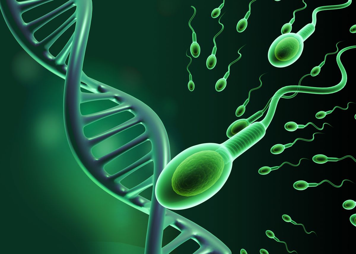 Covid 19 Can Alter Sperm And Affect Brain Development In Offspring