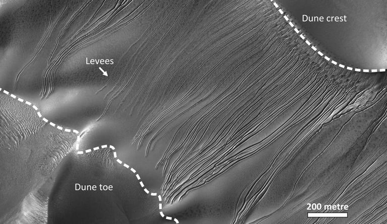 Mysterious gullies on Mars appear to have been carved by burrowing CO₂ ...