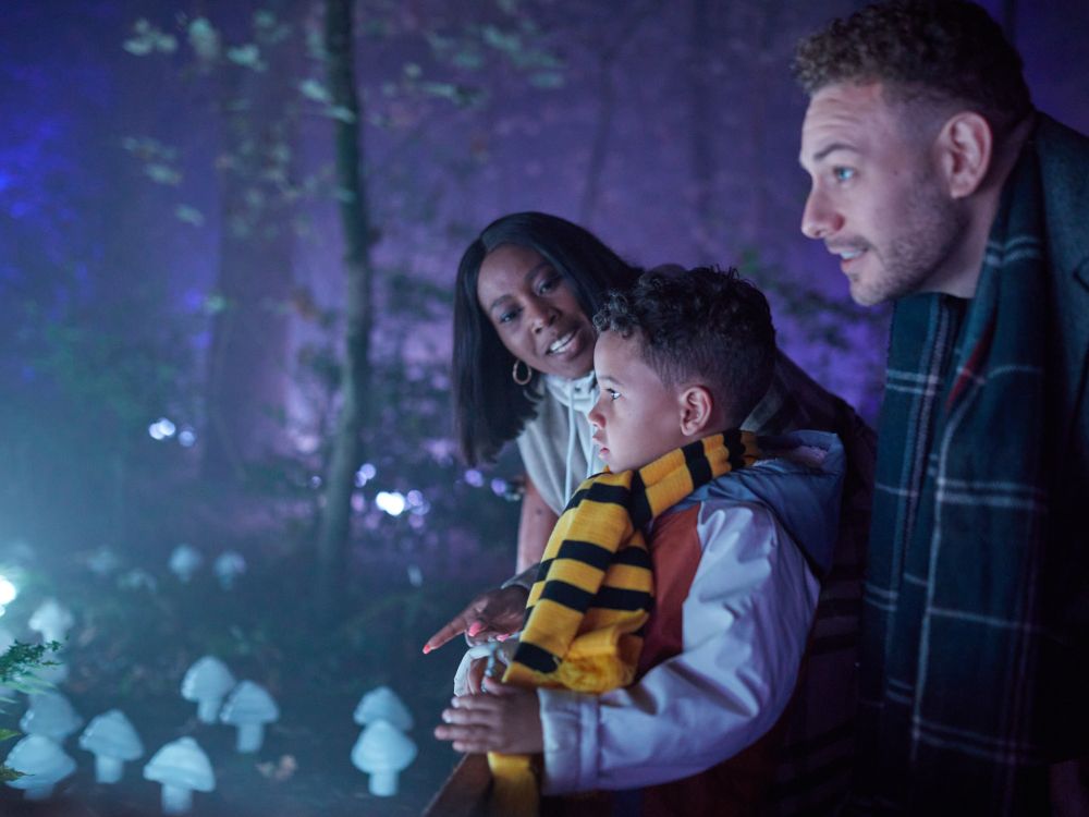 Adam Pankratz: Vancouver Park Board's disgraceful condemnation of JK ...