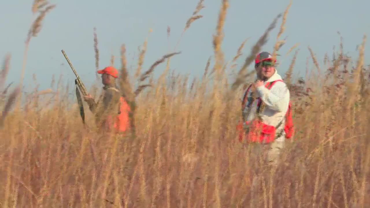 2026 Governor’s Pheasant Opener to be in southern Minnesota