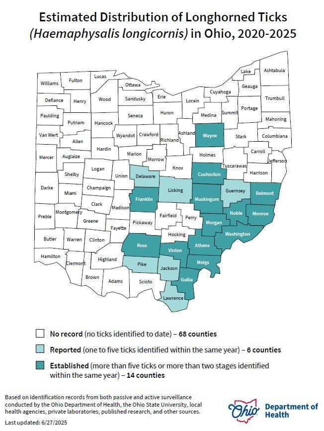 Invasive tick that can kill cattle found near Cincinnati. Meet the ...