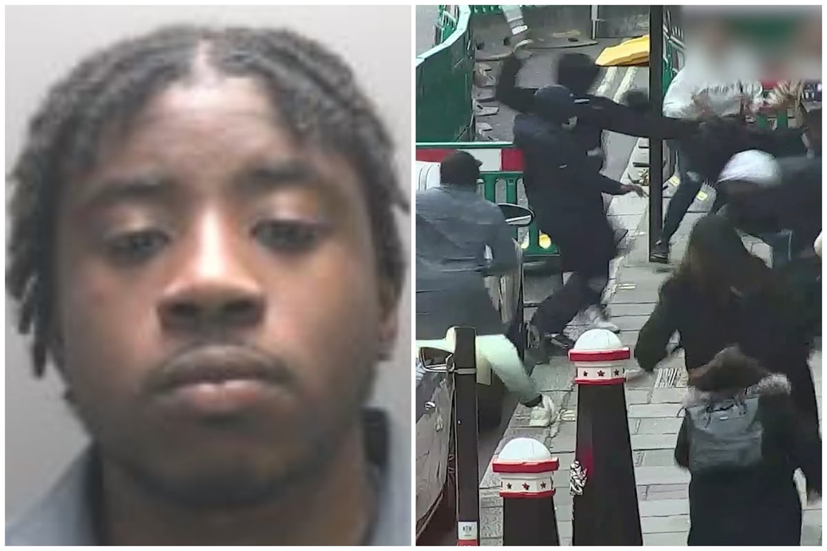 PM's groundsman jailed for attack on murder victim's dad outside Old Bailey