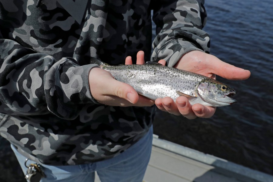 Missouri trout fishing: Rules, permits, and seasons guide