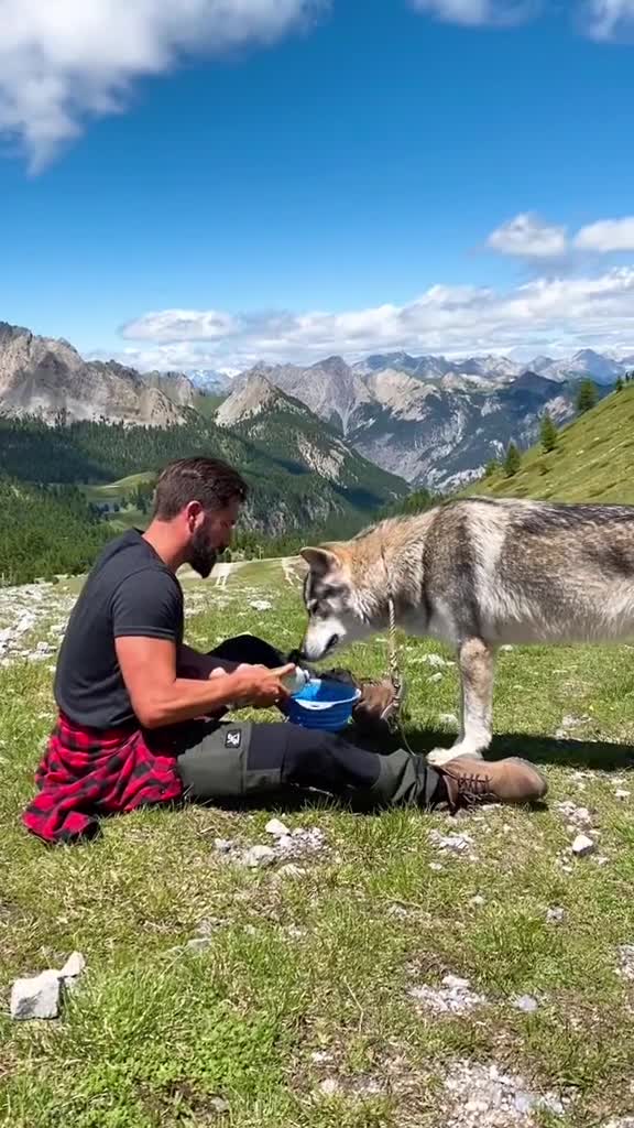 Sharing a Peaceful Moment with a Wolf in the Mountains