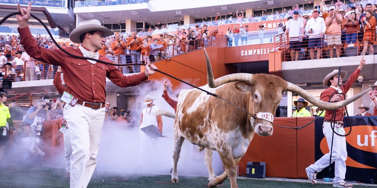 Bio Blast: Texas Longhorns
