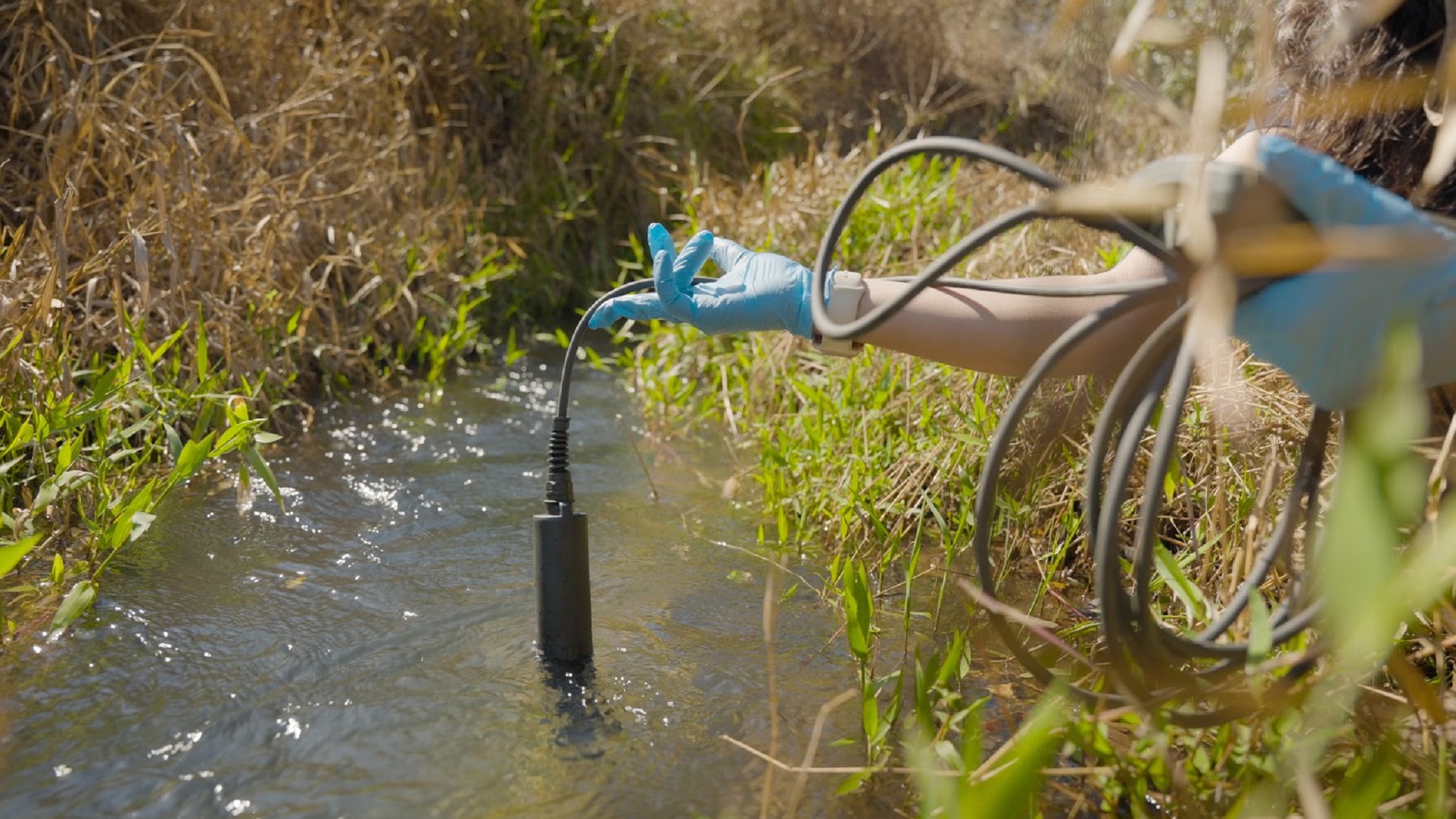 Manhattan-sized basalt field in Brazil becomes live testbed for carbon ...