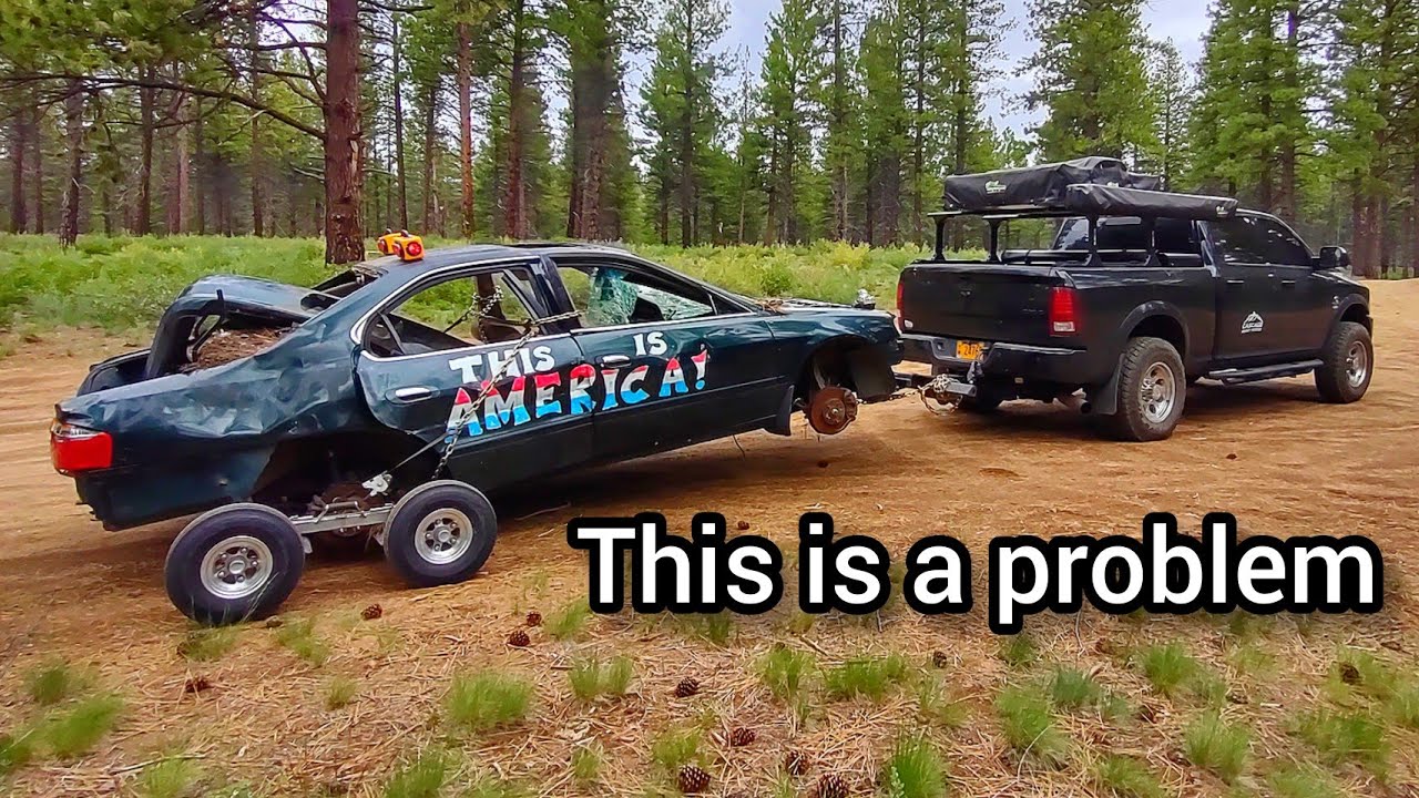 I discover a forest filled with abandoned cars