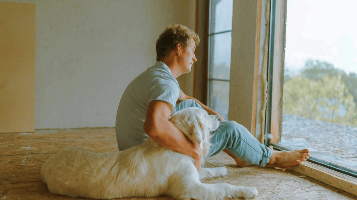 This is what happens to your dog when he detects that you are sad