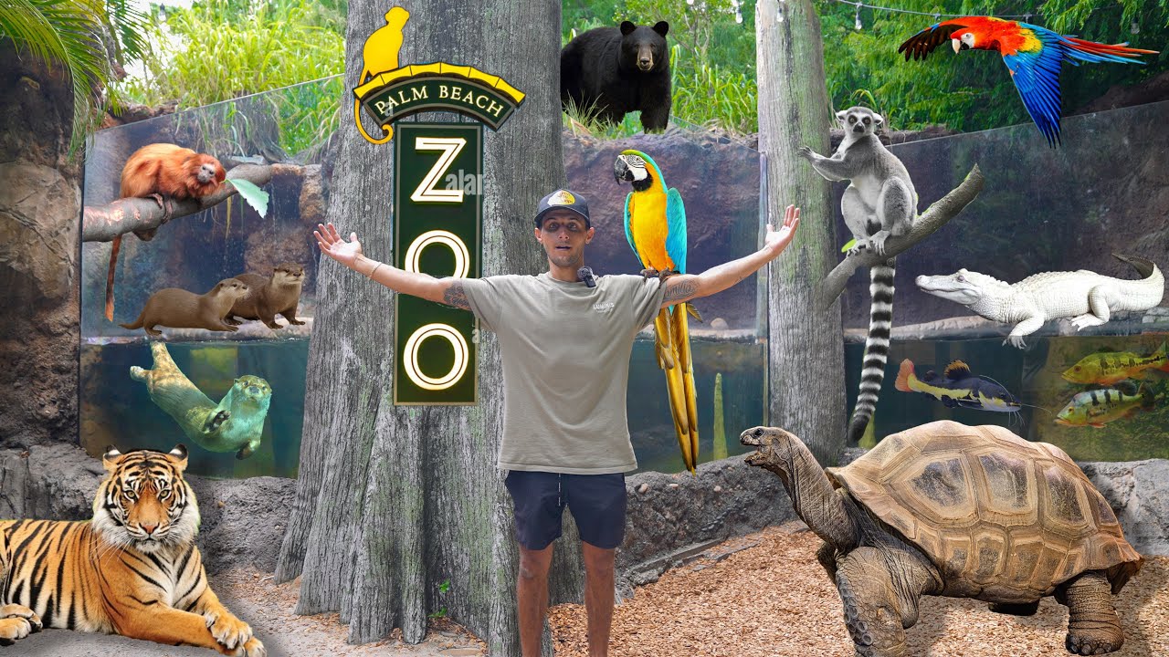 I came face to face with the rarest animals in the world!