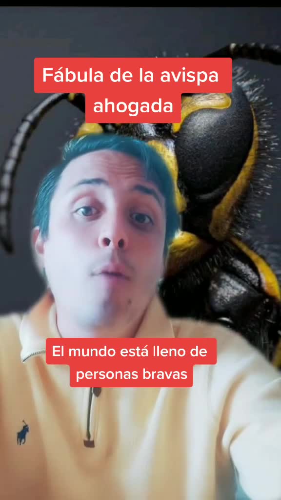 Fábula de la avispa ahogada | Aquiles Nazoa | #poesía #poemas #poeta